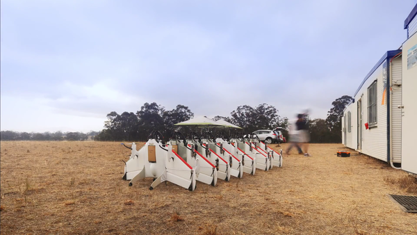 Alphabet закрывает Project Wings?