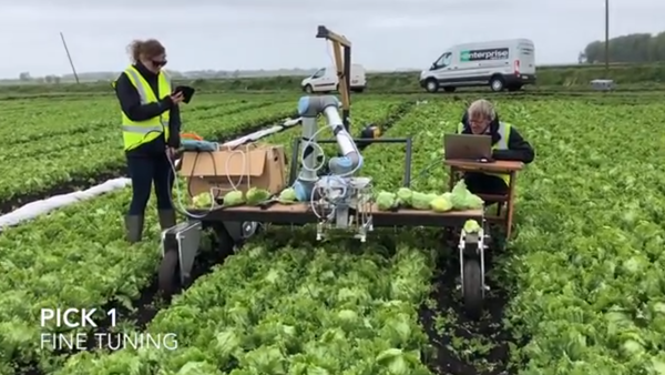 Роботизация: В Кембриджском университете разрабатывают робота Vegebot