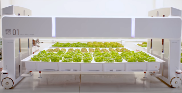 Роботизация: Iron Ox - автономная гидропонная ферма будущего?